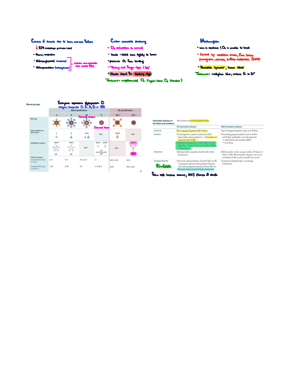 Wk14.1 Monday - BIO 421 - Studocu
