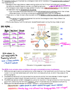 Hines - Exam question on specific topics - PSY 303 - Studocu