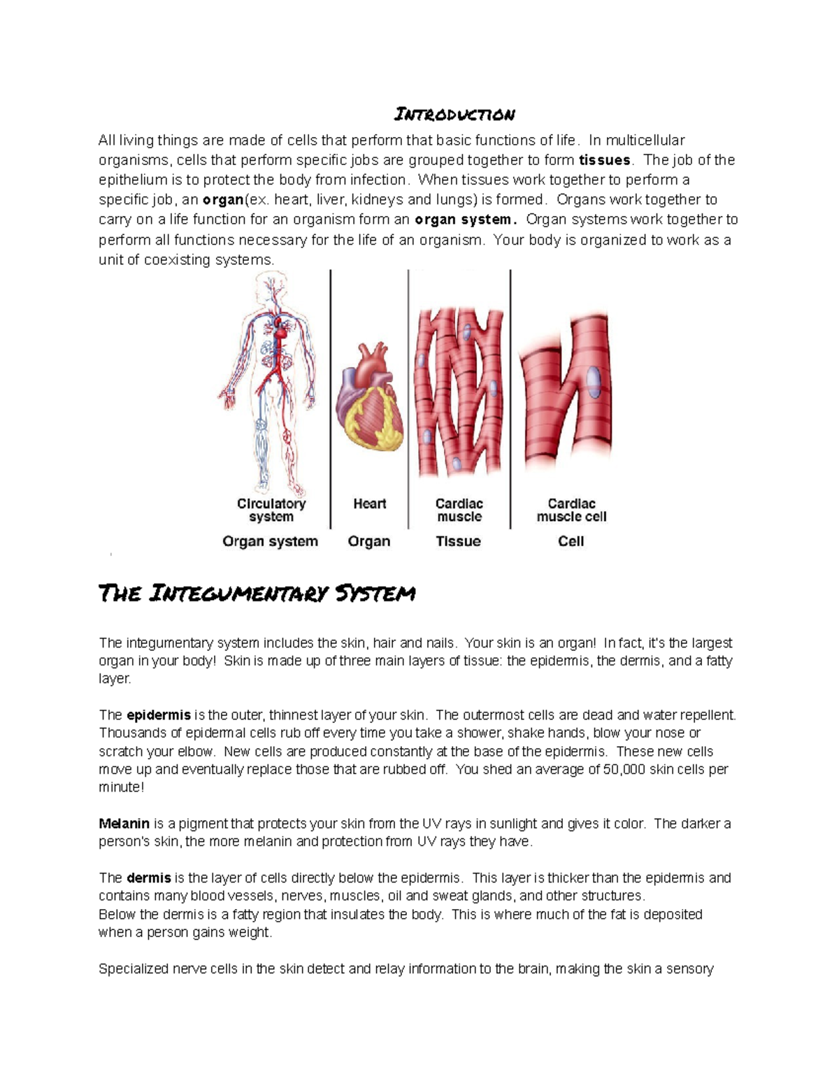 Science reading - Introduction All living things are made of cells that ...