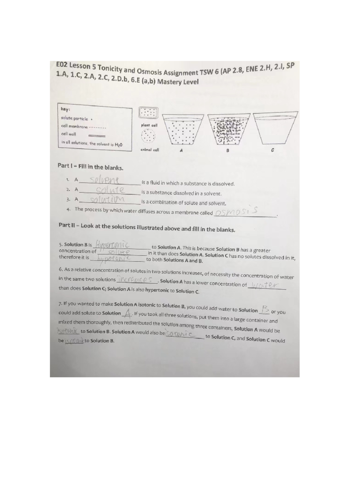 Tonicity and osmosis - assignment of Unit 2 from the online course of ...
