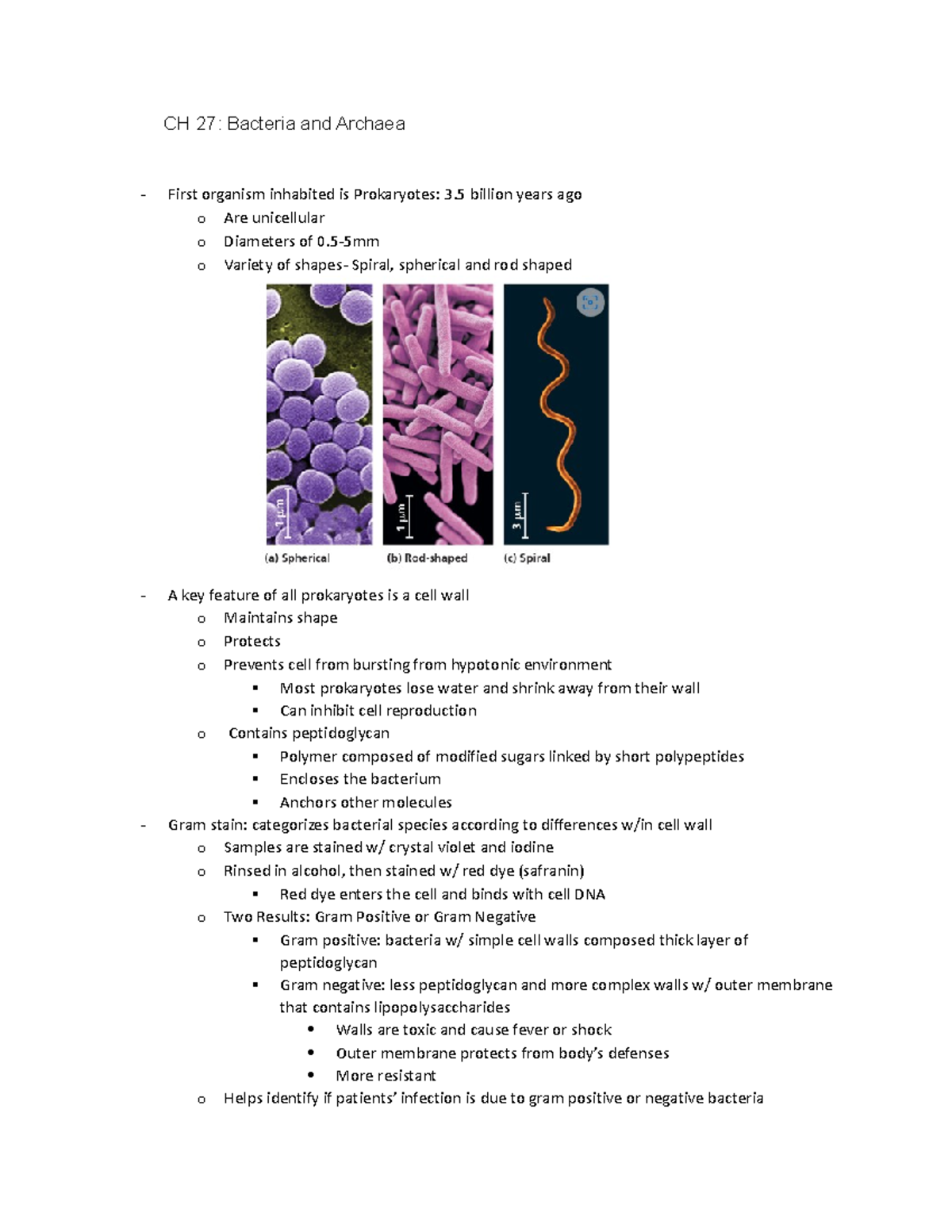 CH 27-bio notes - CH 27: Bacteria and Archaea First organism inhabited ...