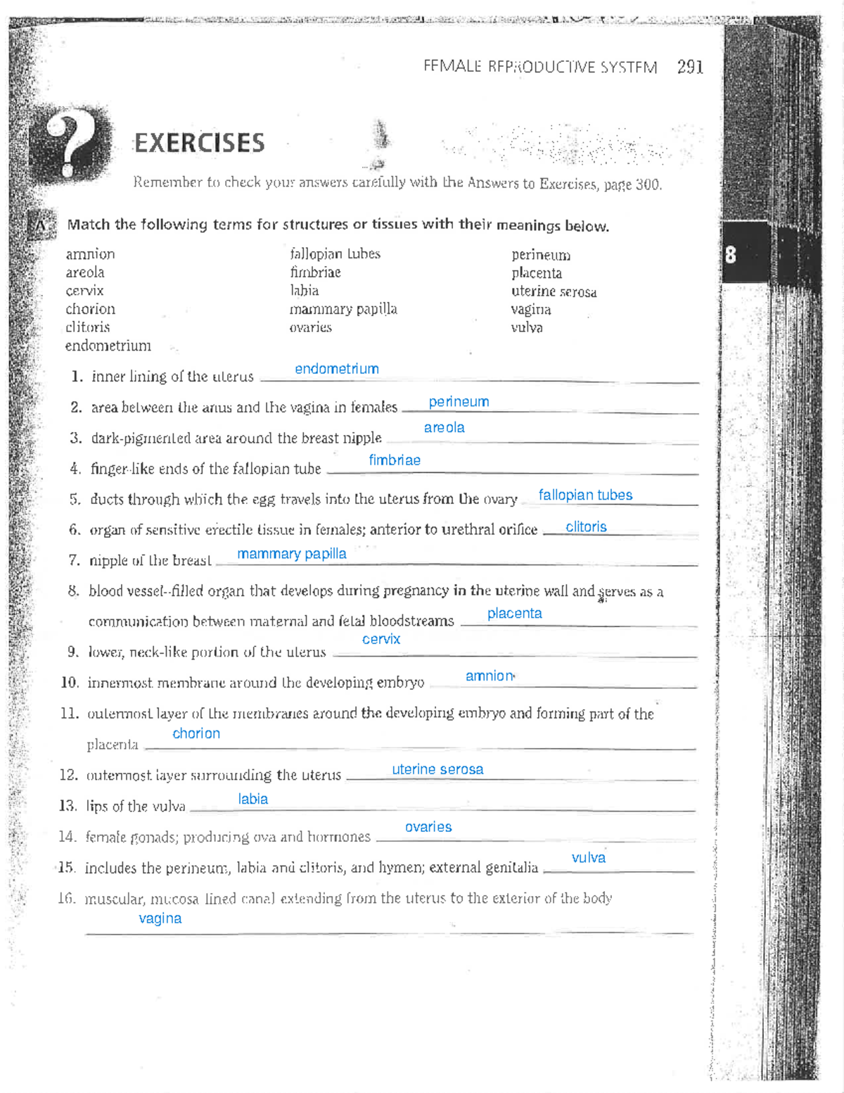 Female Reproductive System answers - GSBN 540 - Studocu