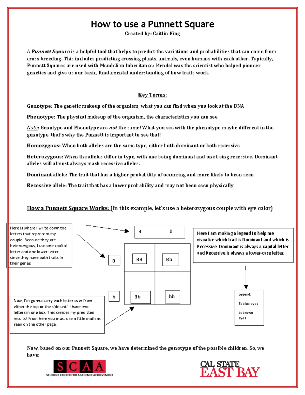 Punnett Square - A guide of how to use the Punnett square to determine ...