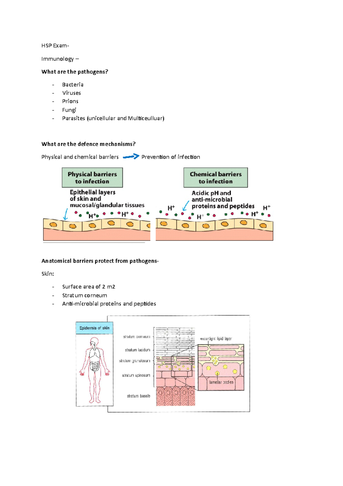 HSP Exam - Lecture notes 3 - HSP Exam- Immunology – What are the ...