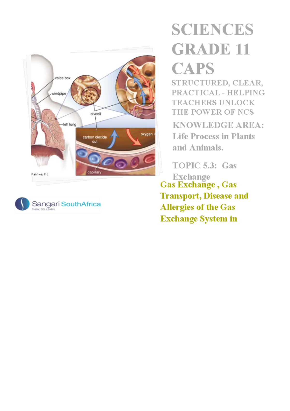 Life science grade 11 gaseous exchange - SCIENCES GRADE 11 CAPS ...