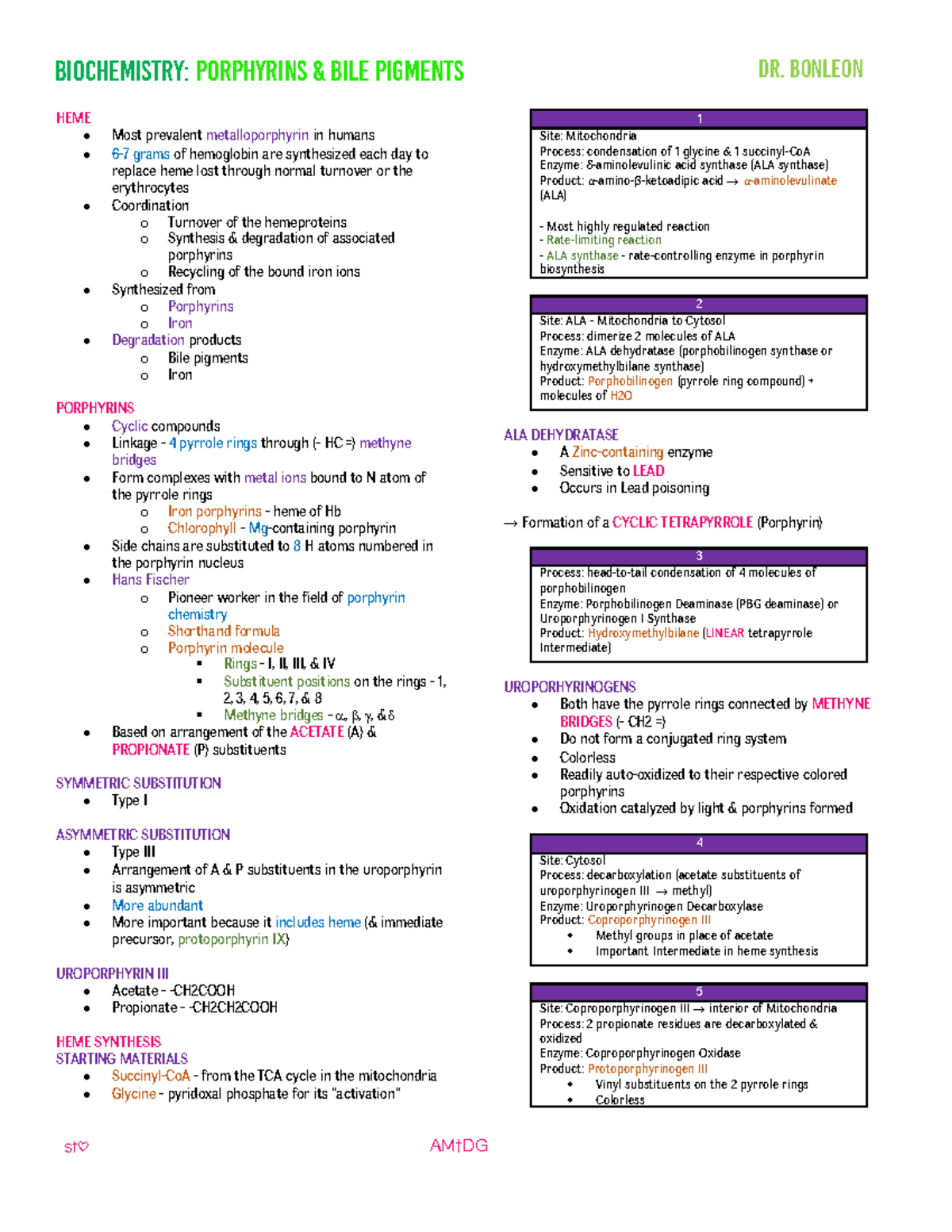 Prelim PART 2 - Eeeeee - BIOCHEMISTRY: porphyrins & bile pigments Dr ...