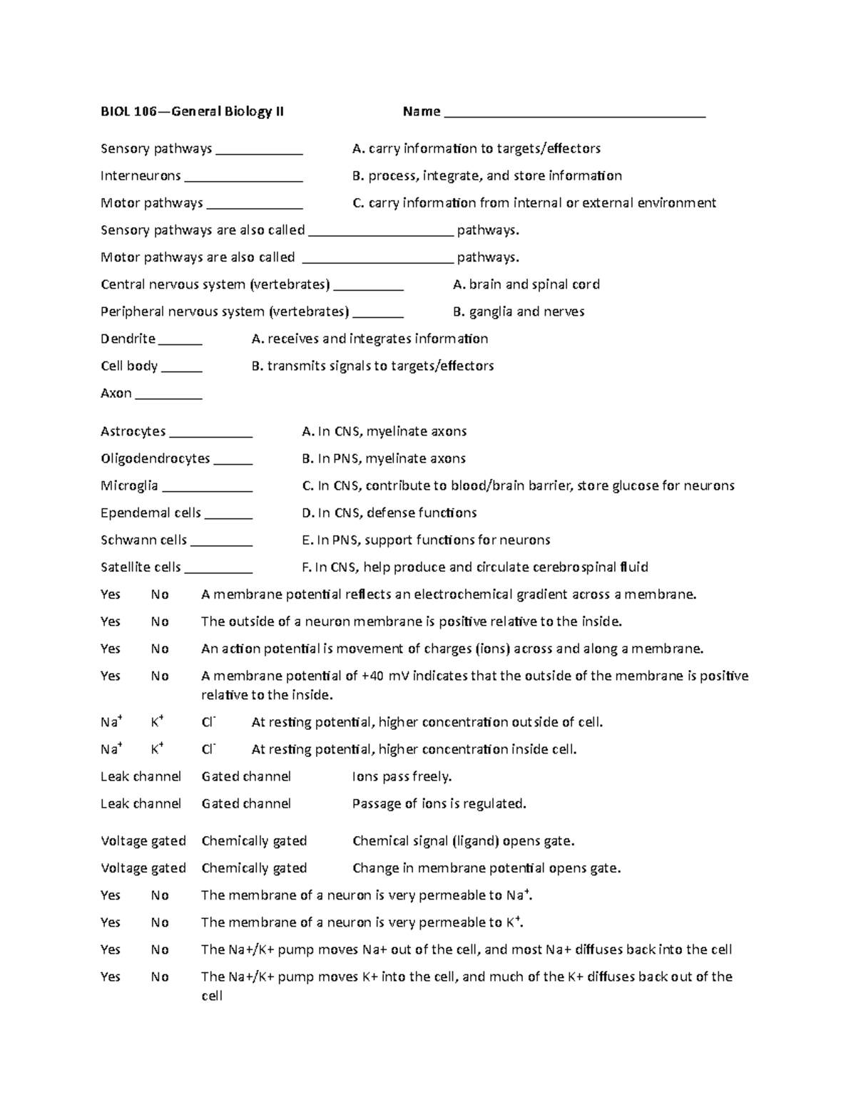 30 31 Nervous System - General Biology II Spring 2018 - BIOL Biology II ...
