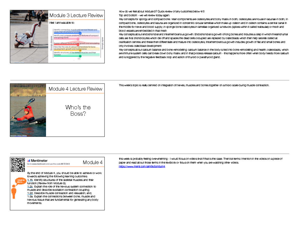 Module 4 Live Lecture Review - Module 3 Lecture Review Photo by Katie ...