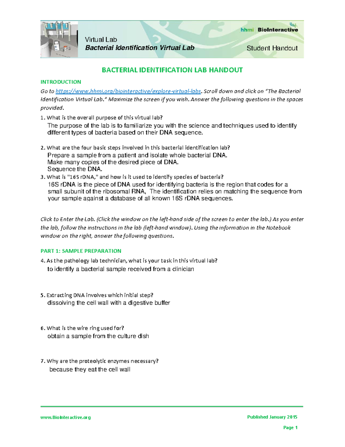 Bacterial-Identification-Lab-Worksheet-Student-1 - BioInteractive ...