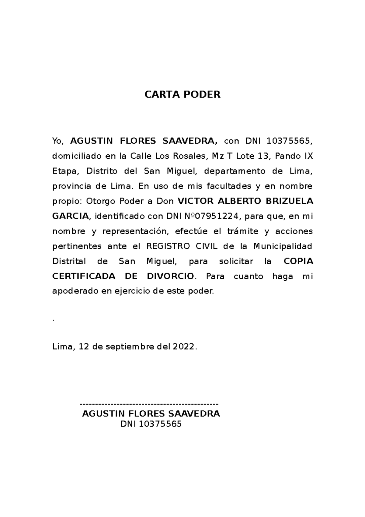 Carta Poder agustin - DOCUMENTO DE REPRESENTACION - CARTA PODER Yo ...