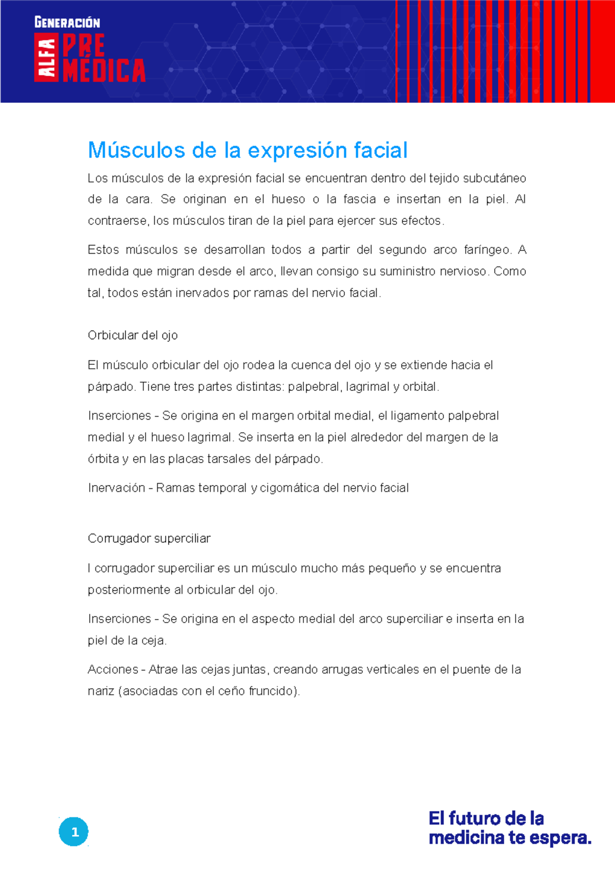 Guía sesion 2 - xdfsfsfsfsf - Músculos de la expresión facial Los ...