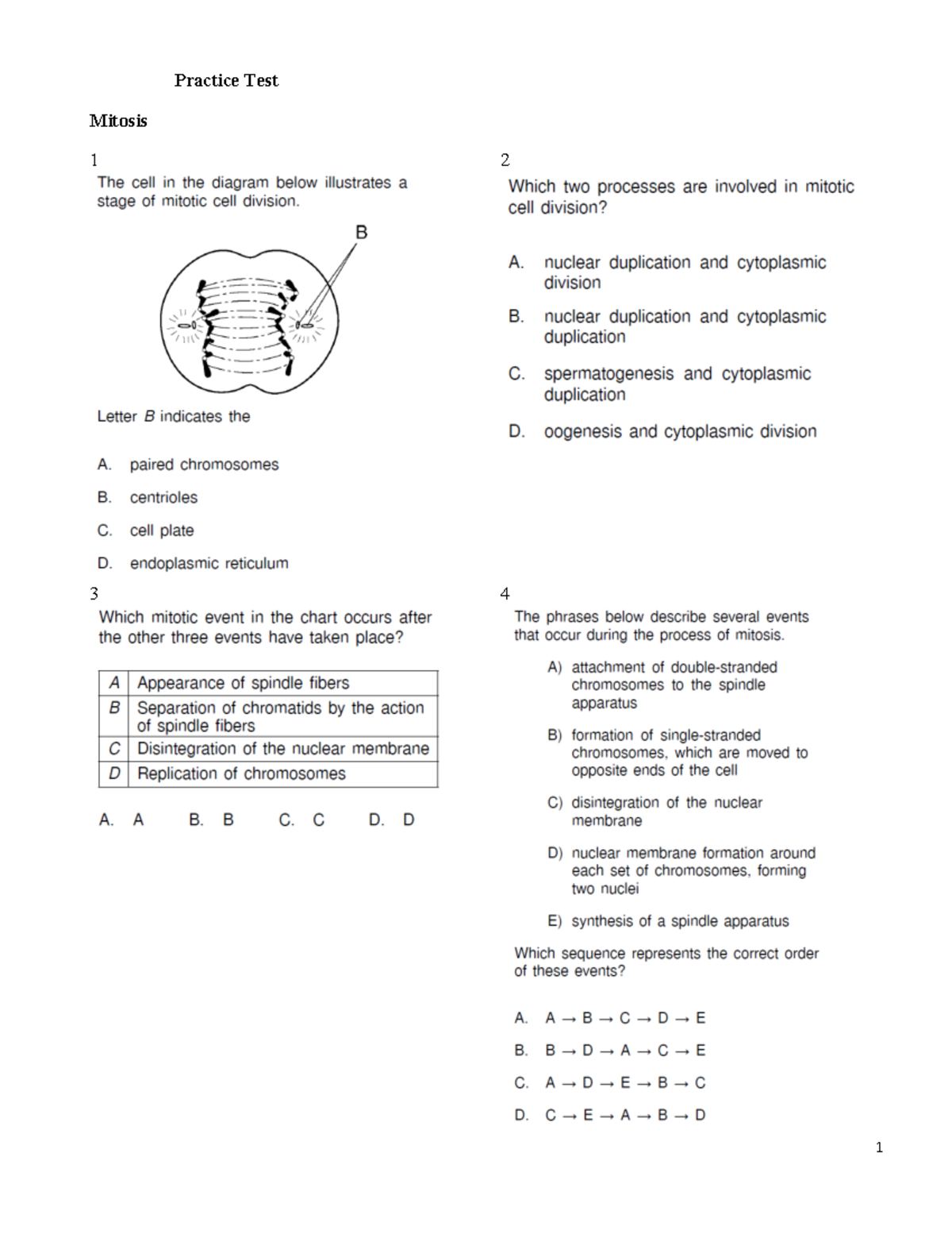 Meiosis mitosis test - Chapter 8 Practice Test Mitosis 1 2 3 4 Meiosis ...