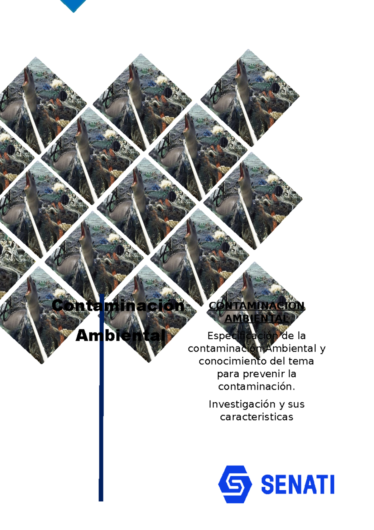 Tarea final - asdsadsad - Contaminación Ambiental CONTAMINACION ...