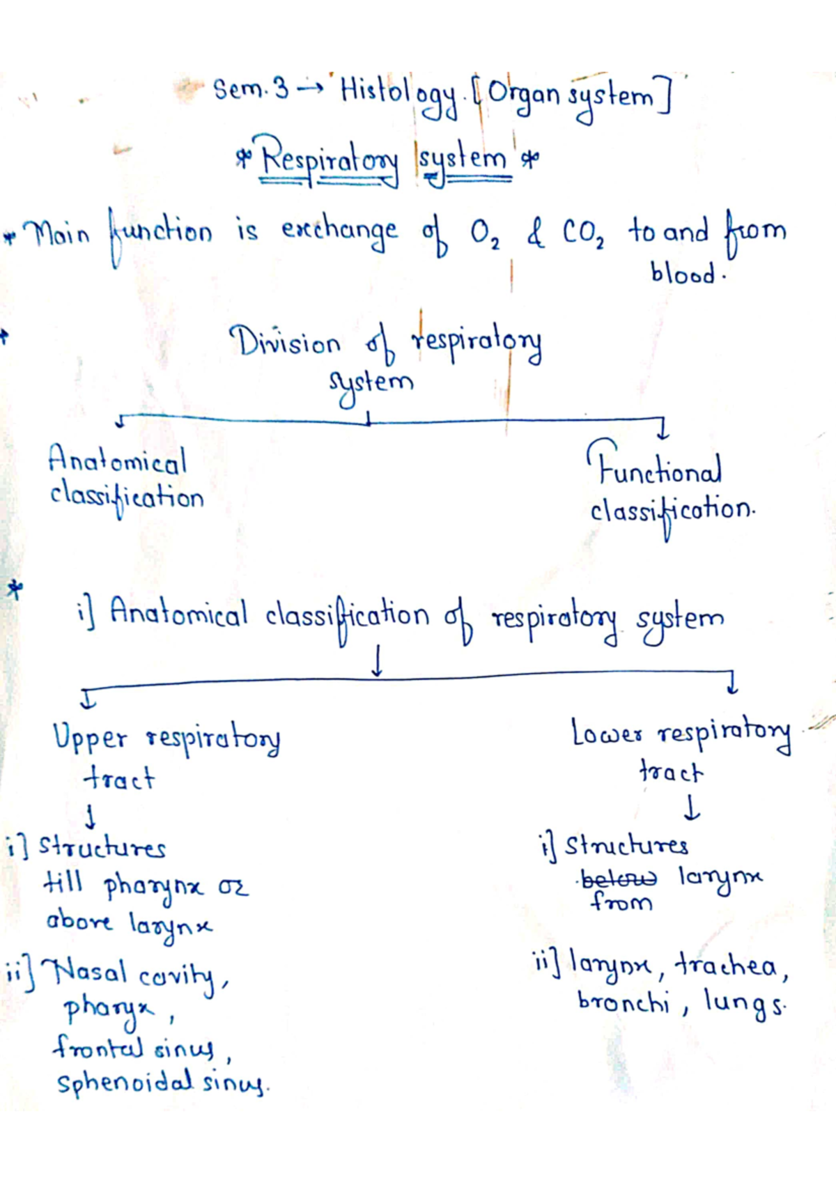 5 6210482109690151995 - physiology - Studocu