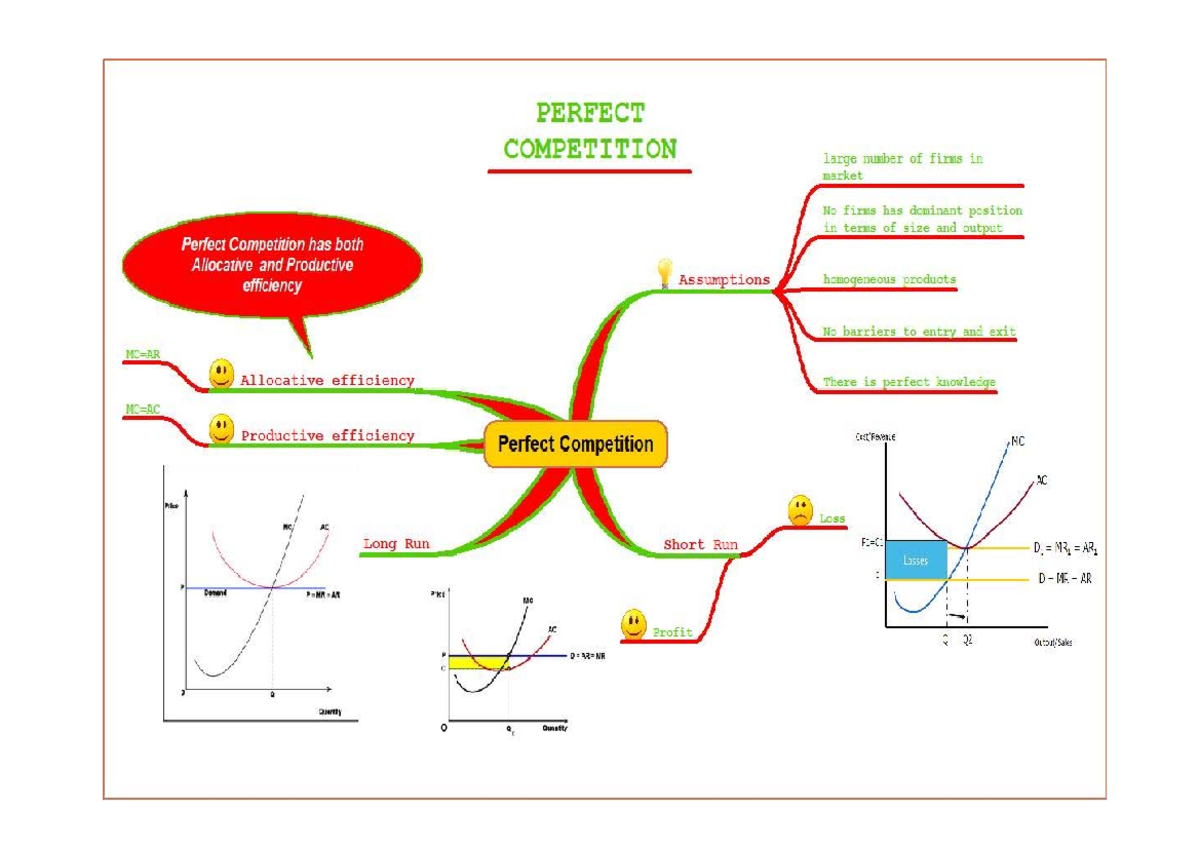 Summary Perfect Competition - EECF1614 - Studocu