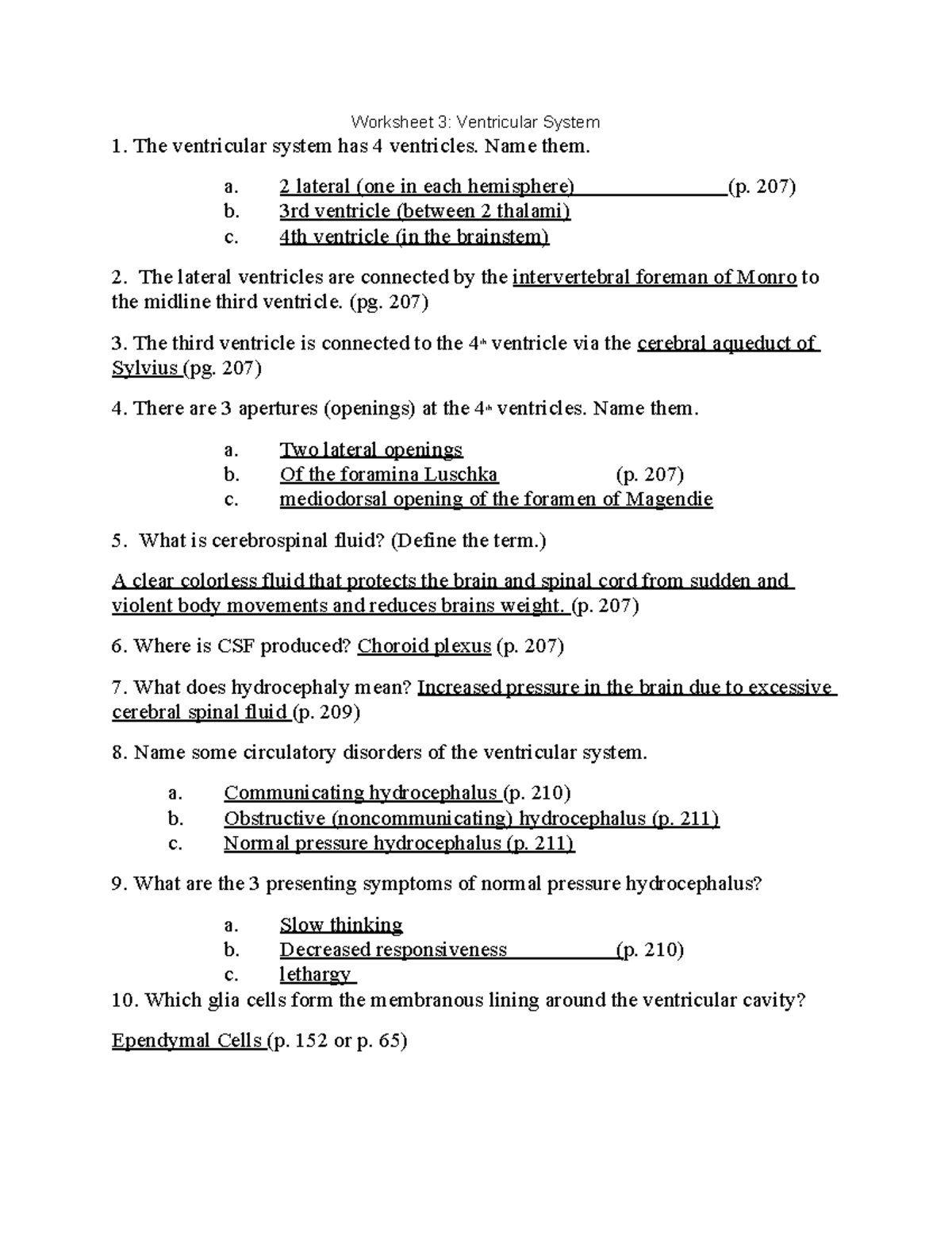 Worksheet 3 - Worksheet 3: Ventricular System The ventricular system ...