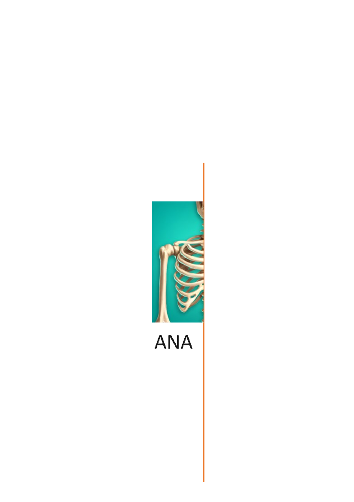 FUNMED Anatomy YEAR 1 - ANA Contents Anatomical - Studocu