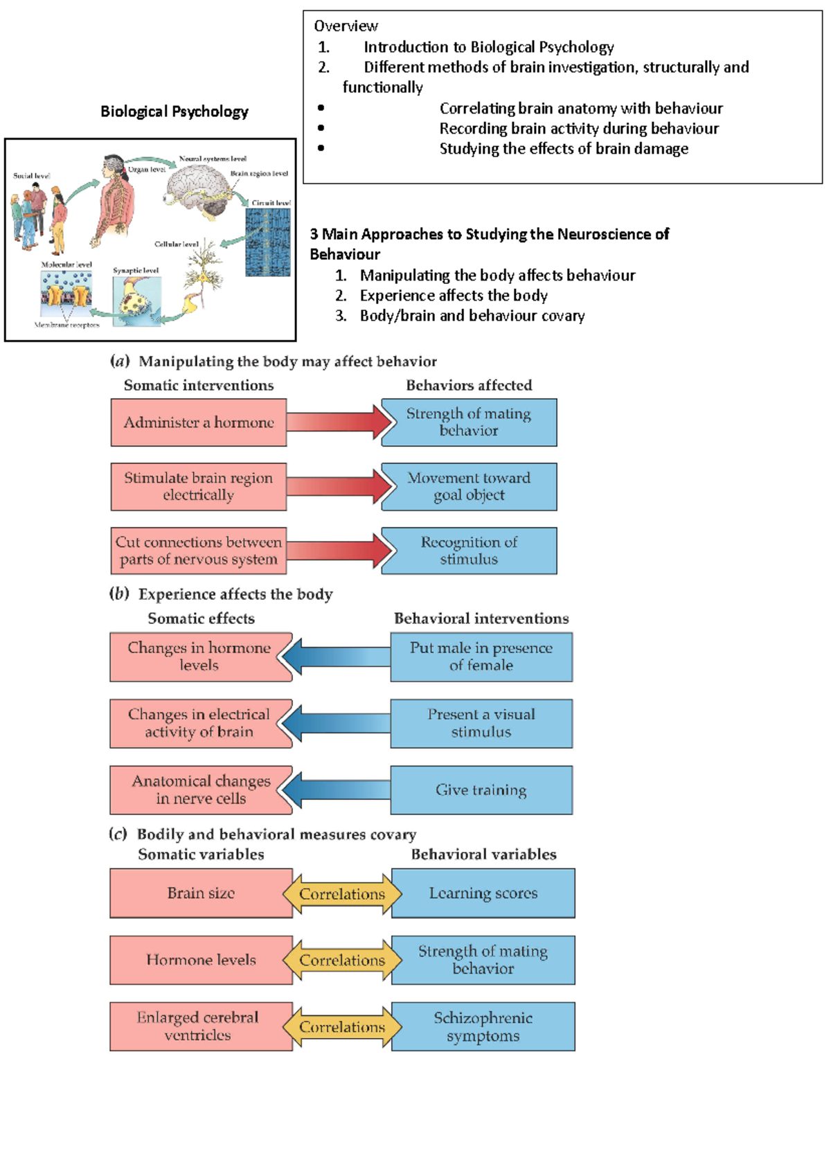 1 Biological Psychology PS1005 year one information - PS1005 - City ...
