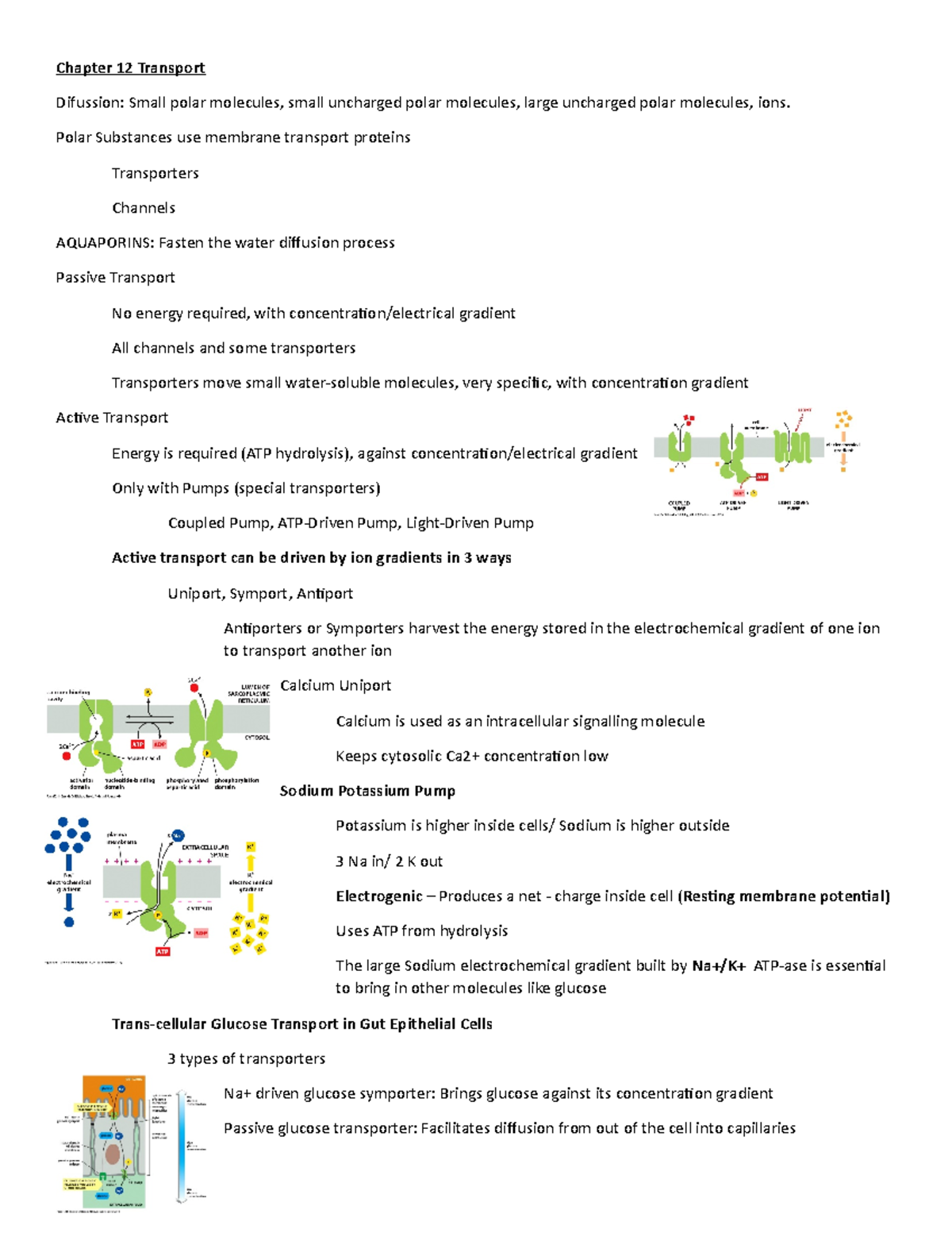 Chapter 12 Transport - Chapter 12 Transport Difussion: Small polar ...