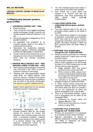 Plasmodium - Accole forms found Large, 25 um, usually single, prominent ...