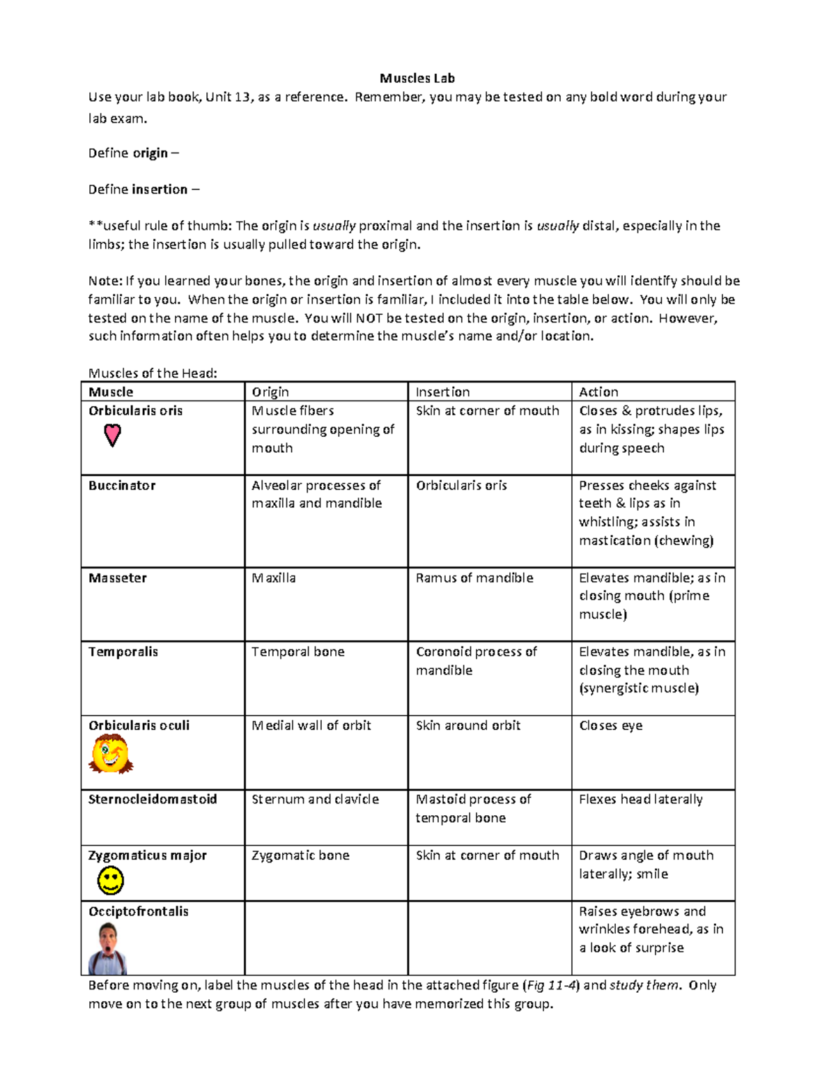 Muscles of head, trunk, arm and leg: Origin, insertion and action ...