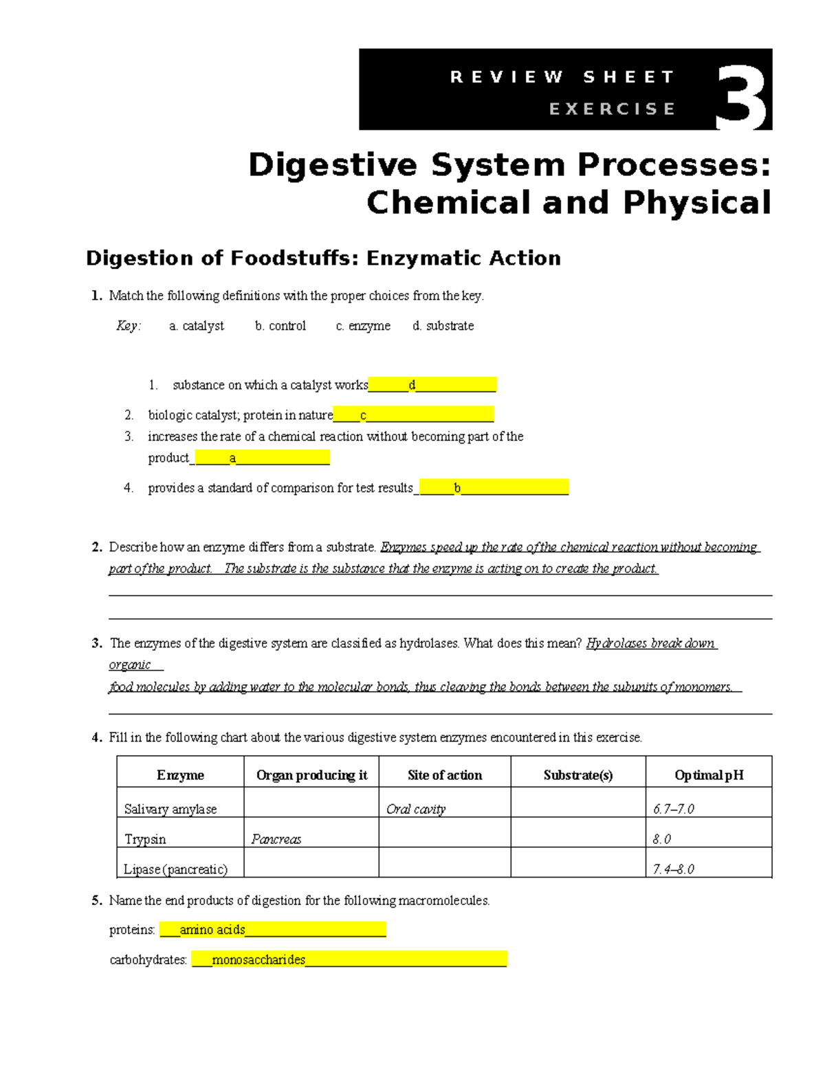 Exercise 39 worksheet - R E V I E W S H E E T E X E R C I S E 3 ...
