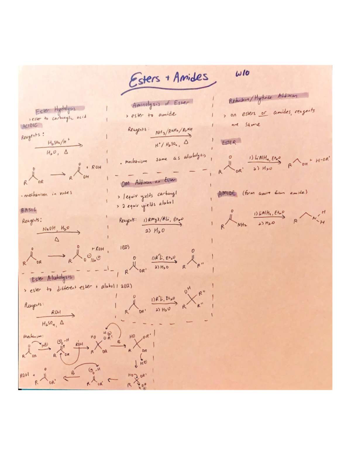 Ochem Week 10 Reactions- Esters and Amides - Chem 14D - UCLA - Studocu