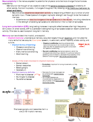 Hines - Exam question on specific topics - PSY 303 - Studocu