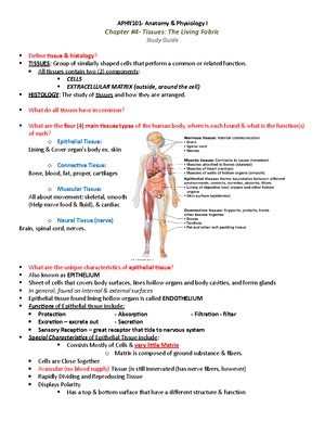 APHY 101 Chapter 3 - 3. Cell theory: The cell is the smallest unit of ...