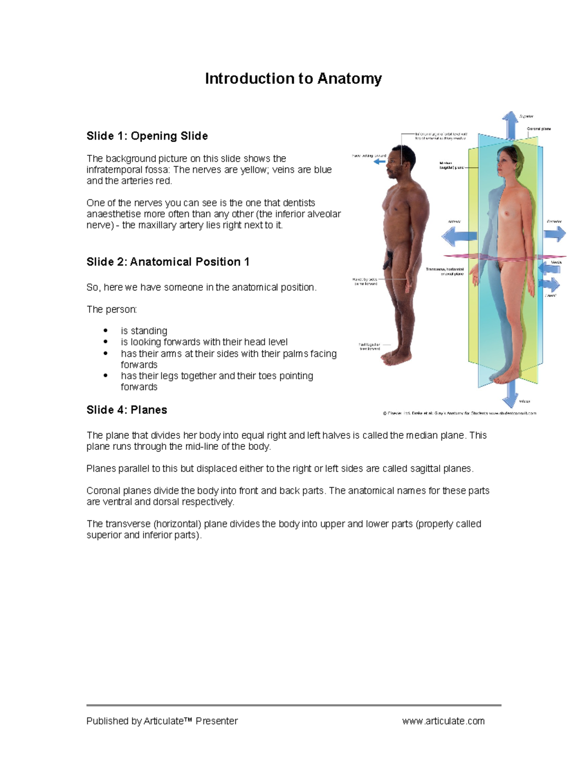 Intro to anatomy presenter notes - Introduction to Anatomy Slide 1 ...