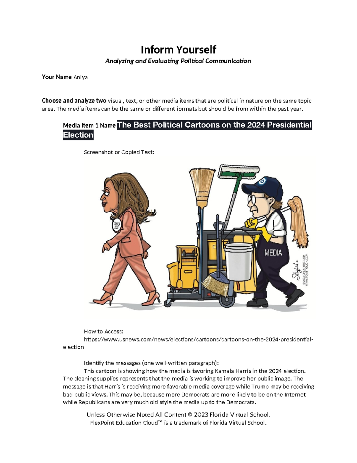 Inform yourself template - Inform Yourself Analyzing and Evaluating ...