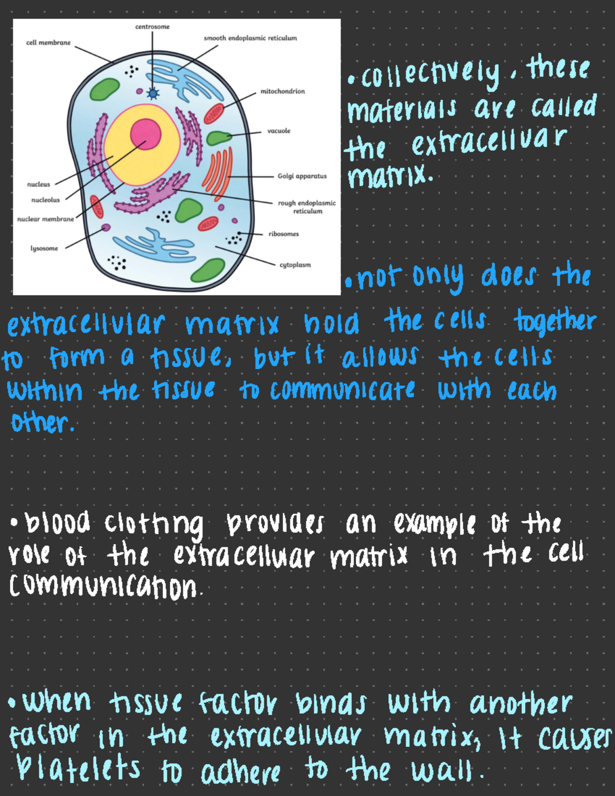 Cell Components Part 23 - CHEM 025 - Studocu