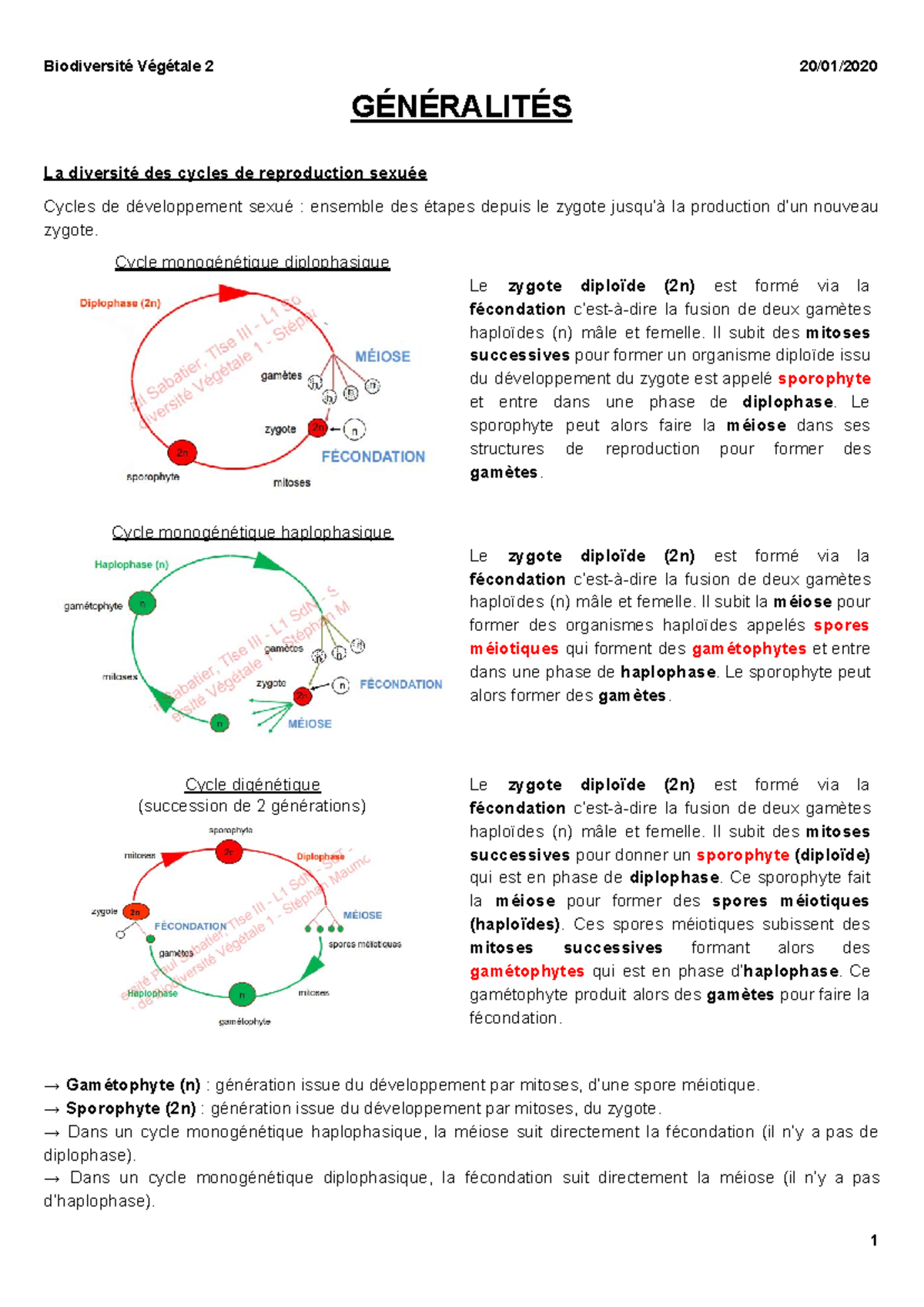 Généralités L1 SDV - S2 - GÉNÉRALITÉS La diversité des cycles de ...