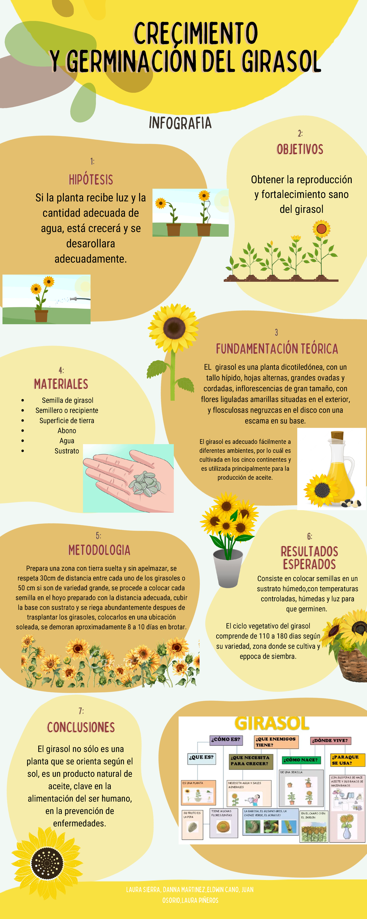 Infografia Del Girasol HIP TESISHIP TESIS CONCLUSIONESCONCLUSIONES infografia-del-girasol-hip-tesiship-tesis-conclusionesconclusiones