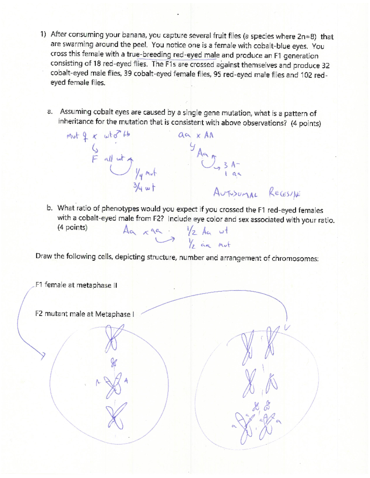 Mod2 11222022 key - Module 1 practice for exam key 2022 - BIO320 - Studocu