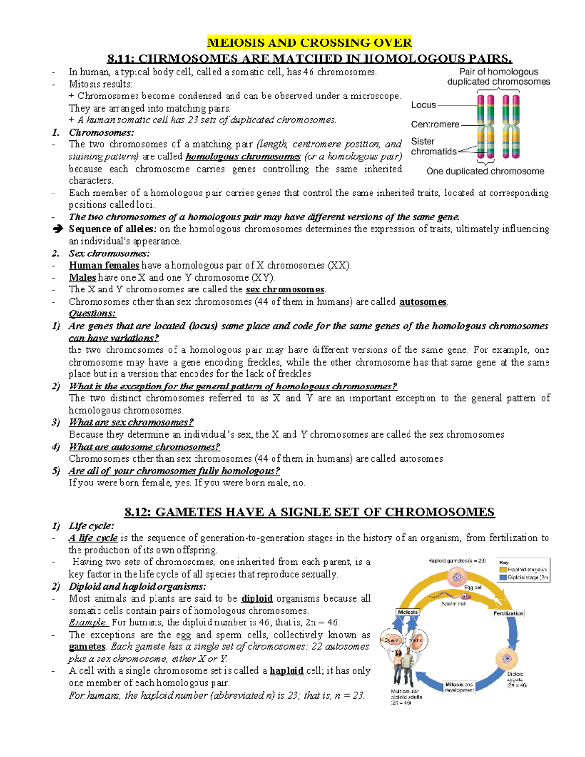 Meiosis AND Crossing OVER - MEIOSIS AND CROSSING OVER 8: CHRMOSOMES ARE ...