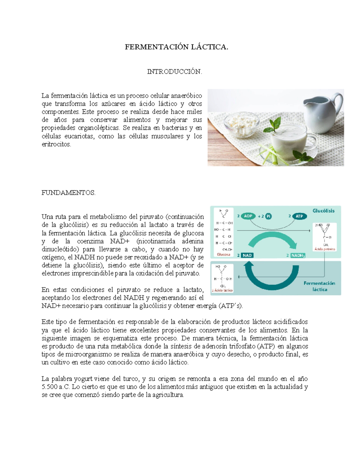 Fermentación Láctica - fermentacion lactica - FERMENTACIÓN LÁCTICA ...