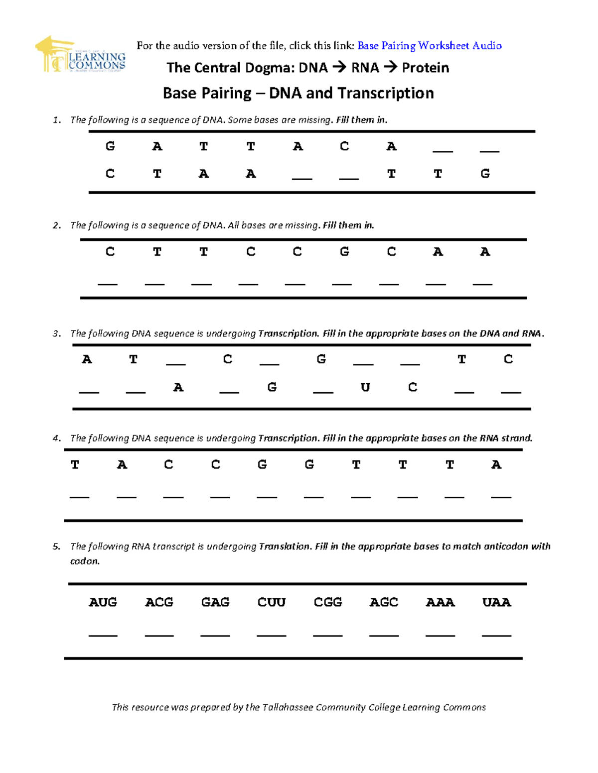 Base Pairing-Worksheet - The Central Dogma: DNA RNA Protein 1. The ...