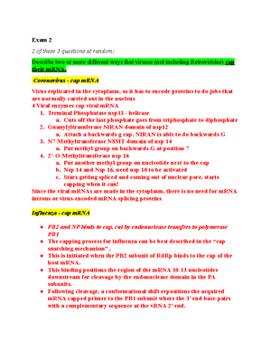 Viruses for exam 3 short answers biology of viruses tamu - 1. Explain ...