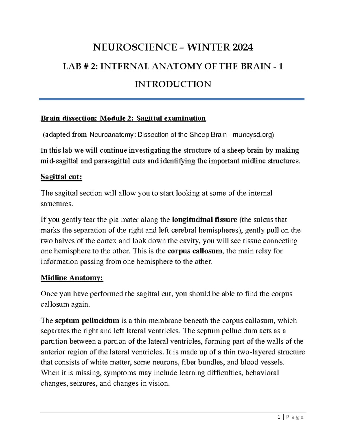 Lab 2- Lab Intro W2024 - uhkl - NEUROSCIENCE – WINTER 202 4 LAB # 2 ...