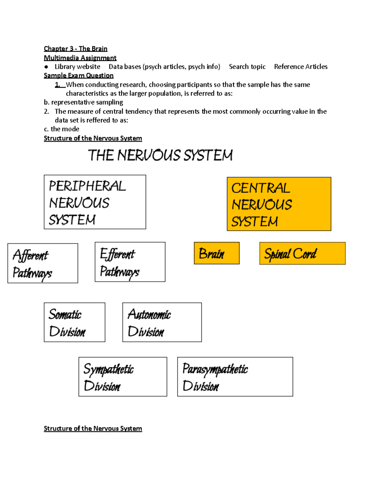 Psych 3 - week 3 - Chapter 3 - The Brain Multimedia Assignment Library ...