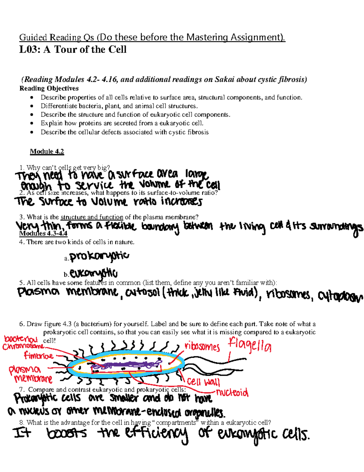 Lesson++3 GRQs A+Tour+of+the+Cell - Guided Reading Qs (Do these before ...