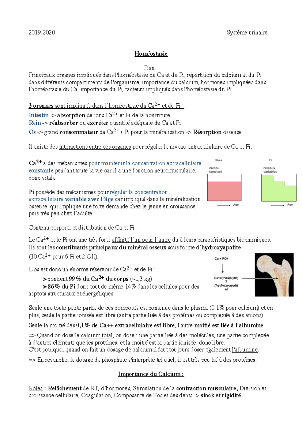 Syst ur homéosta - Warning: Error during font loading: XMLHttpRequest is not defined 2019-2020 ...