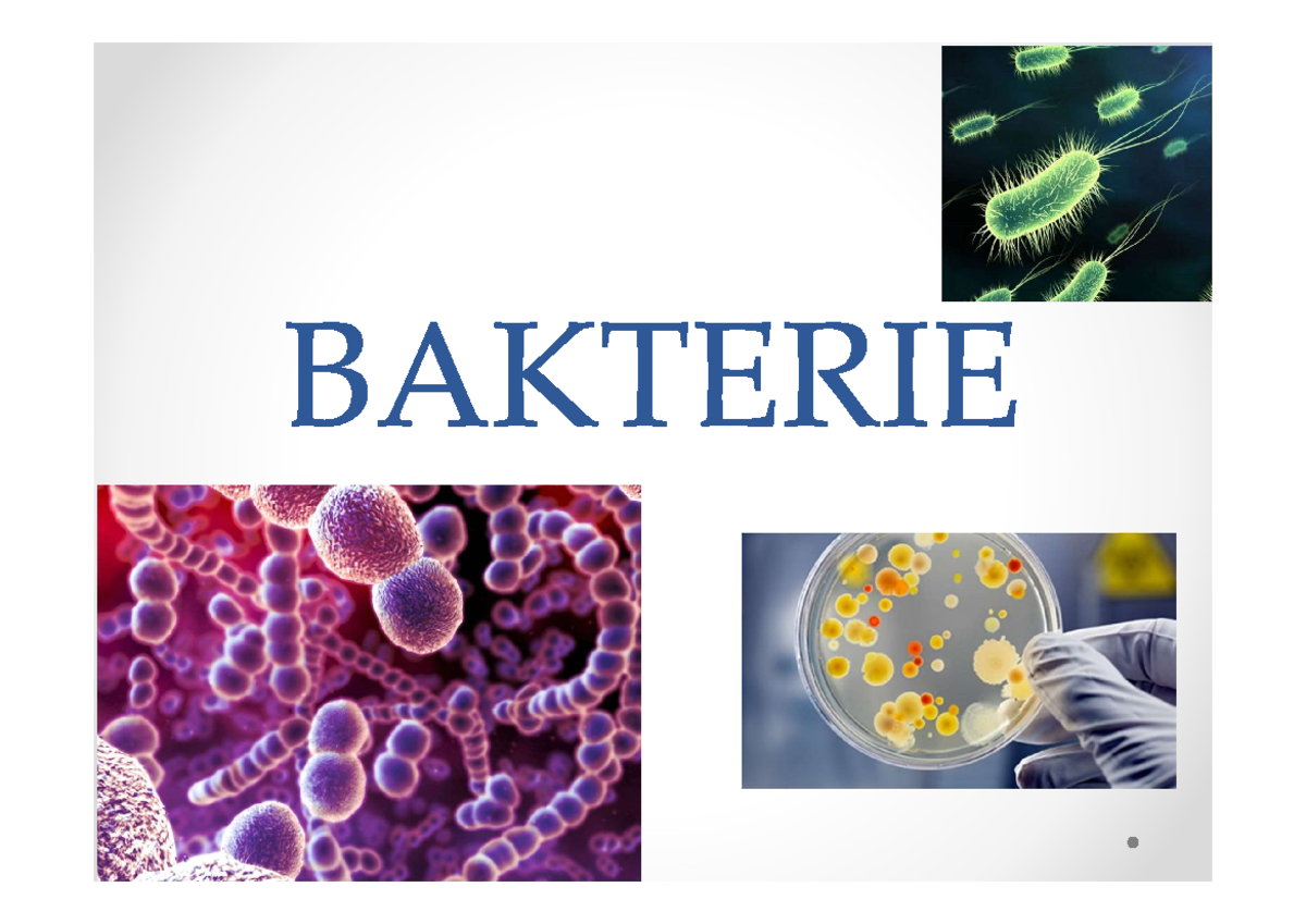 Bakterie pdf - Podział bakterii Eubakterie (bakterie właściwe) Archebakterie (drobne, pierwotnie ...