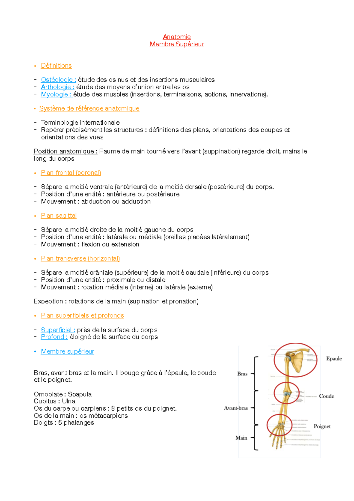 Chap 1 Membre Supérieur - Anatomie Membre Supérieur • Définitions ...