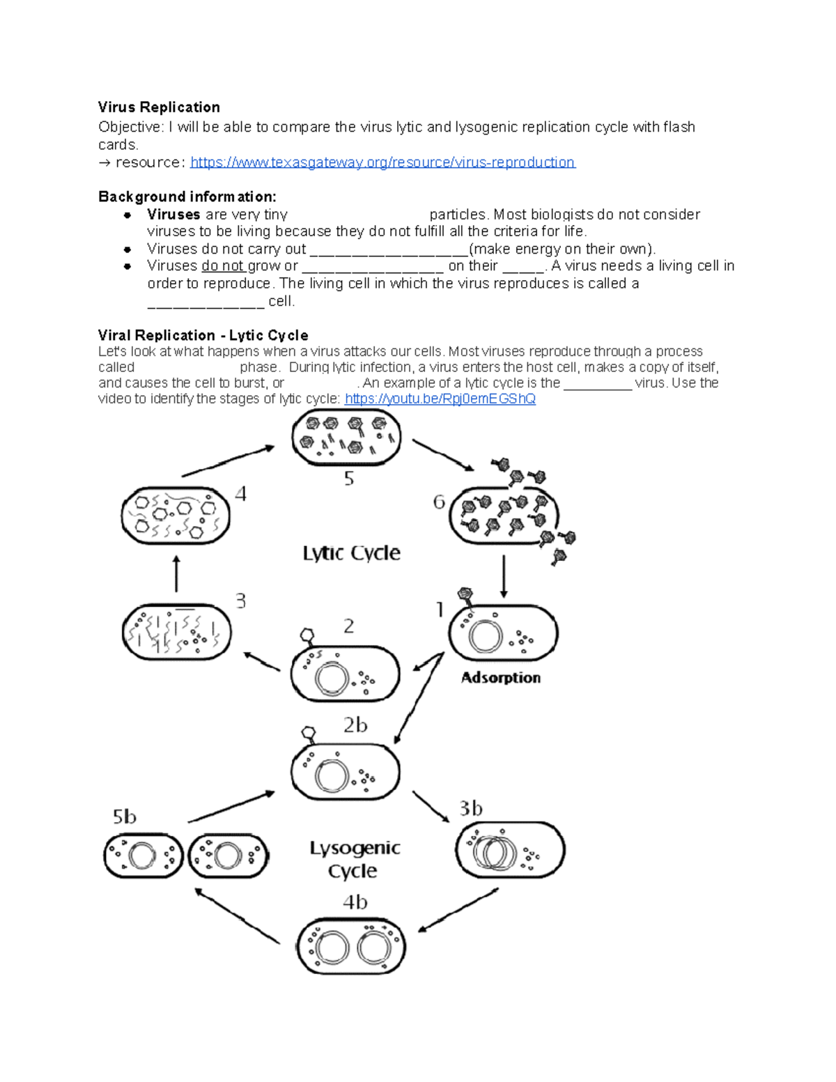 4C.Virus Replication - Mansoura - Virus Replication Objective: I will ...