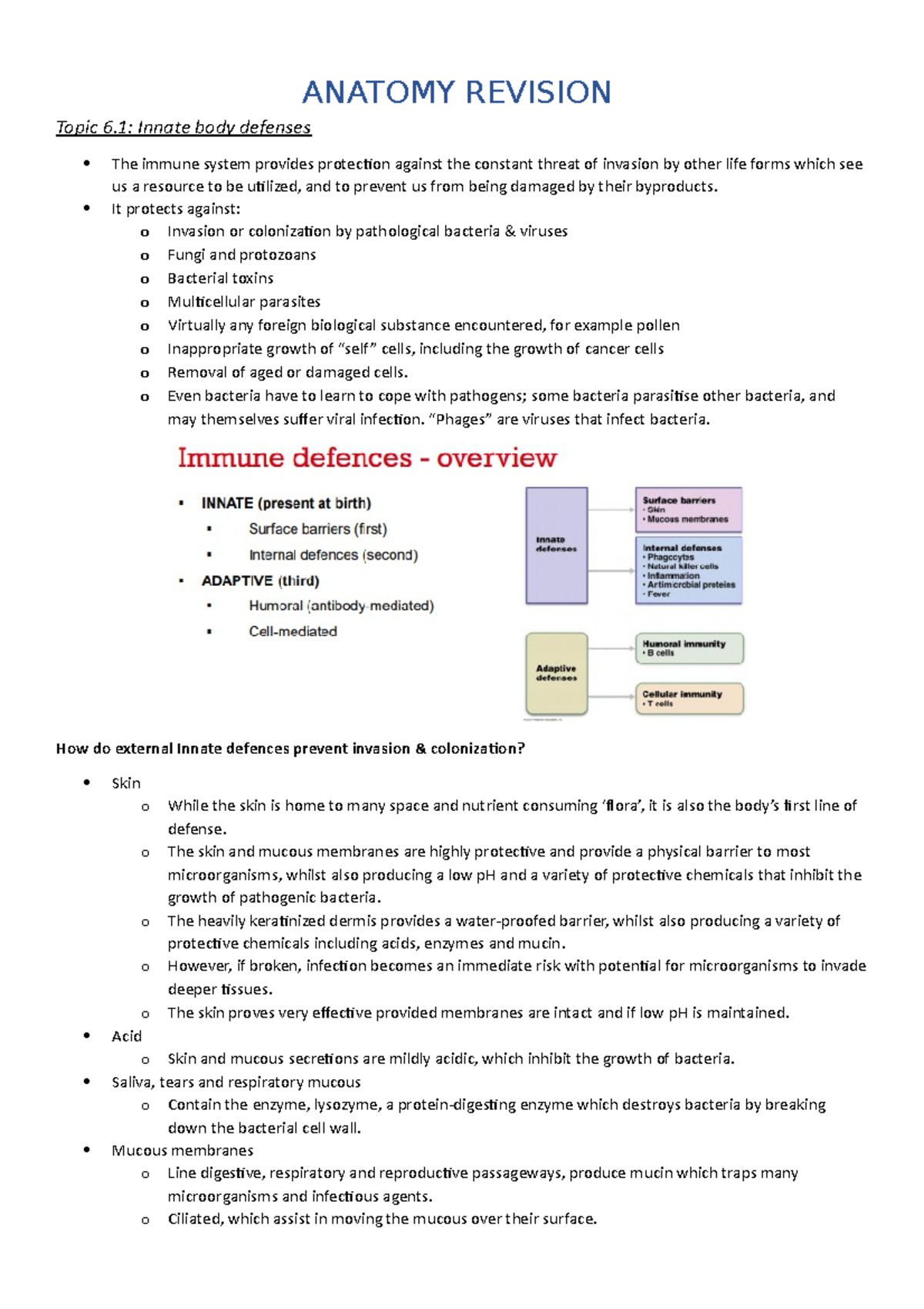 Anatomy Revision #6 - Lecture notes Module 6,1 & 6.2 - ANATOMY REVISION ...