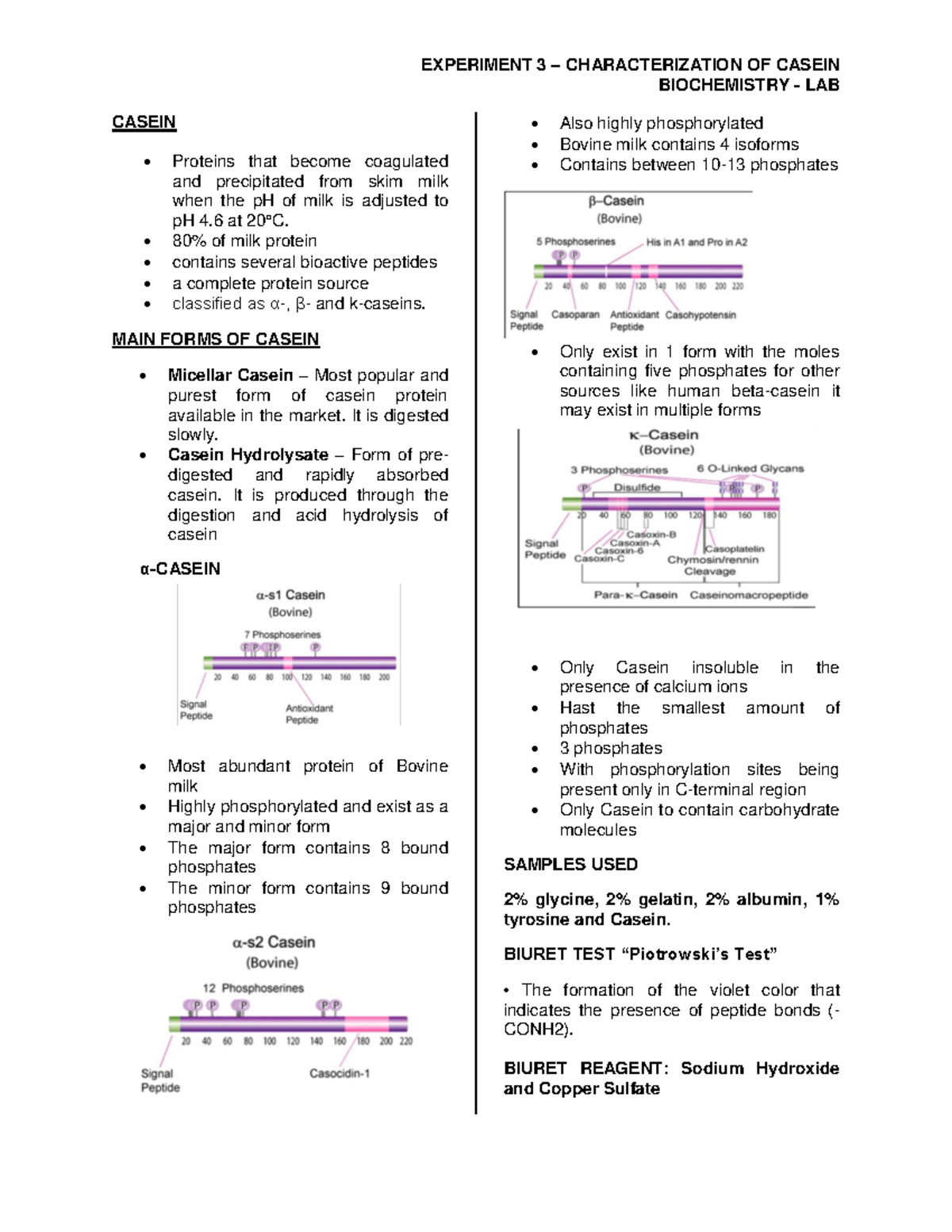 EXP-3- Characterization OF Casein - EXPERIMENT 3 – CHARACTERIZATION OF ...