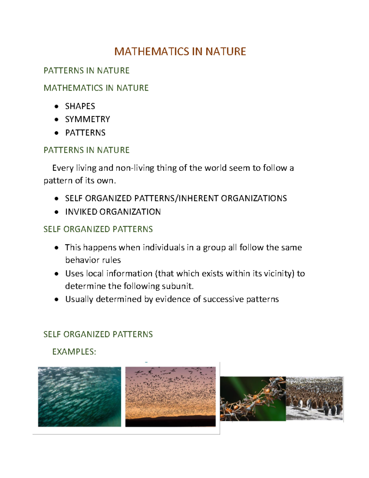 Patterns IN Nature - This lecture is very helpful for students who ...