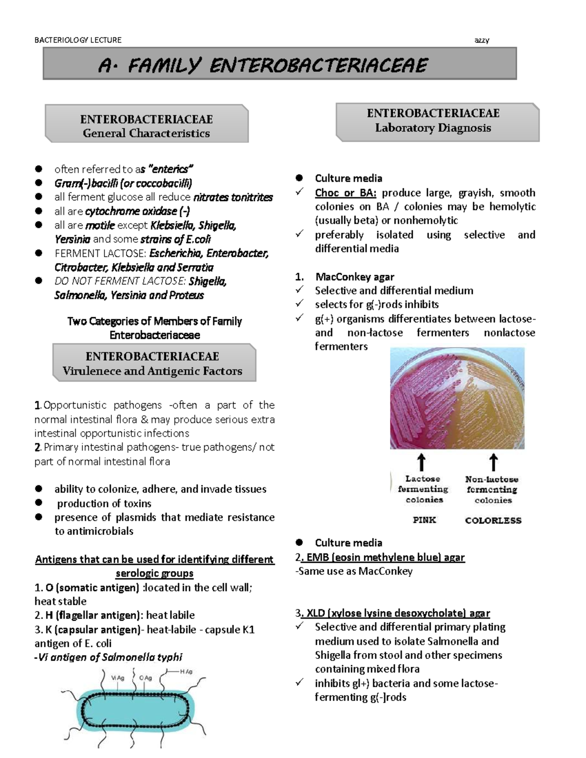 Family Enterobacteriaceae part 1 - often referred to as "enterics” Gram ...